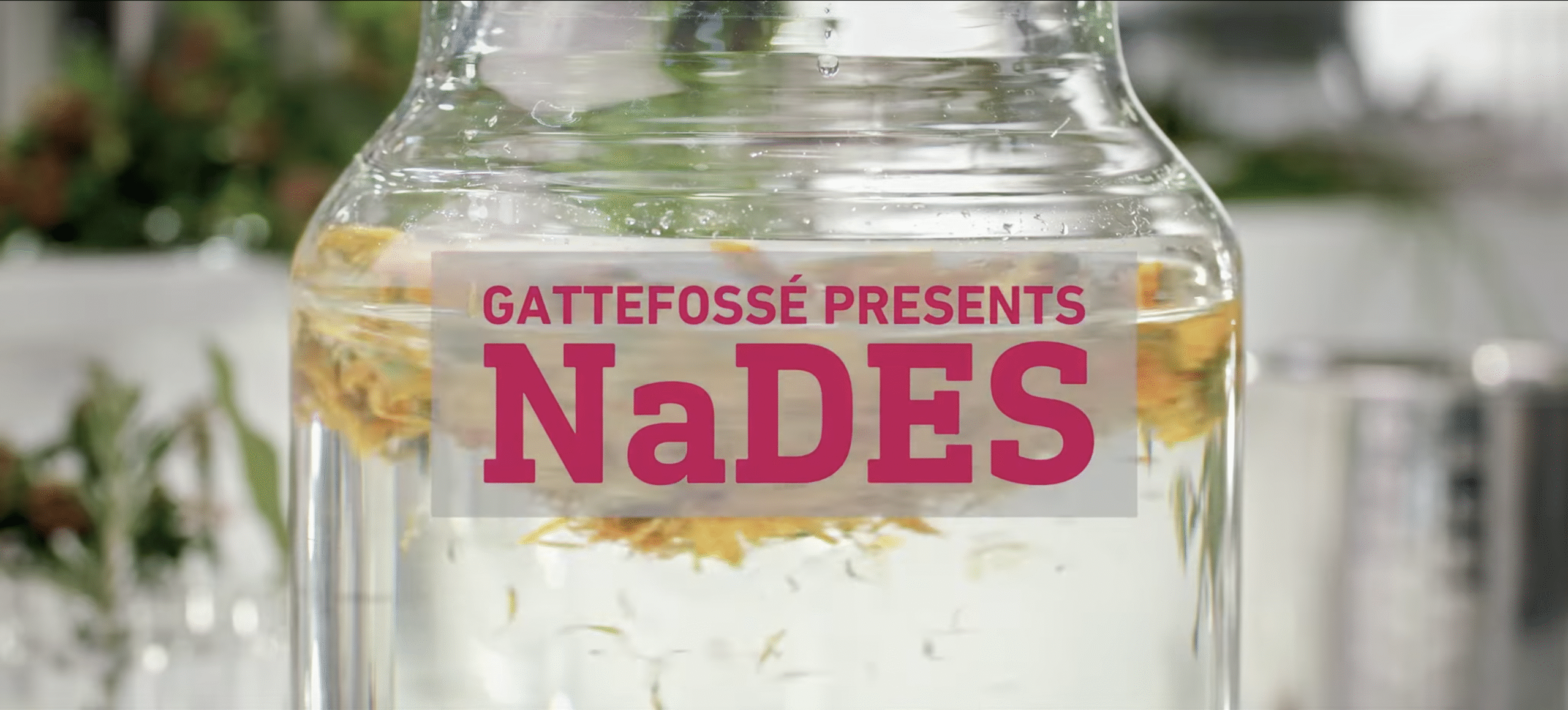 Natural Deep Eutectic Solvents an innovative eco-friendly natural ...