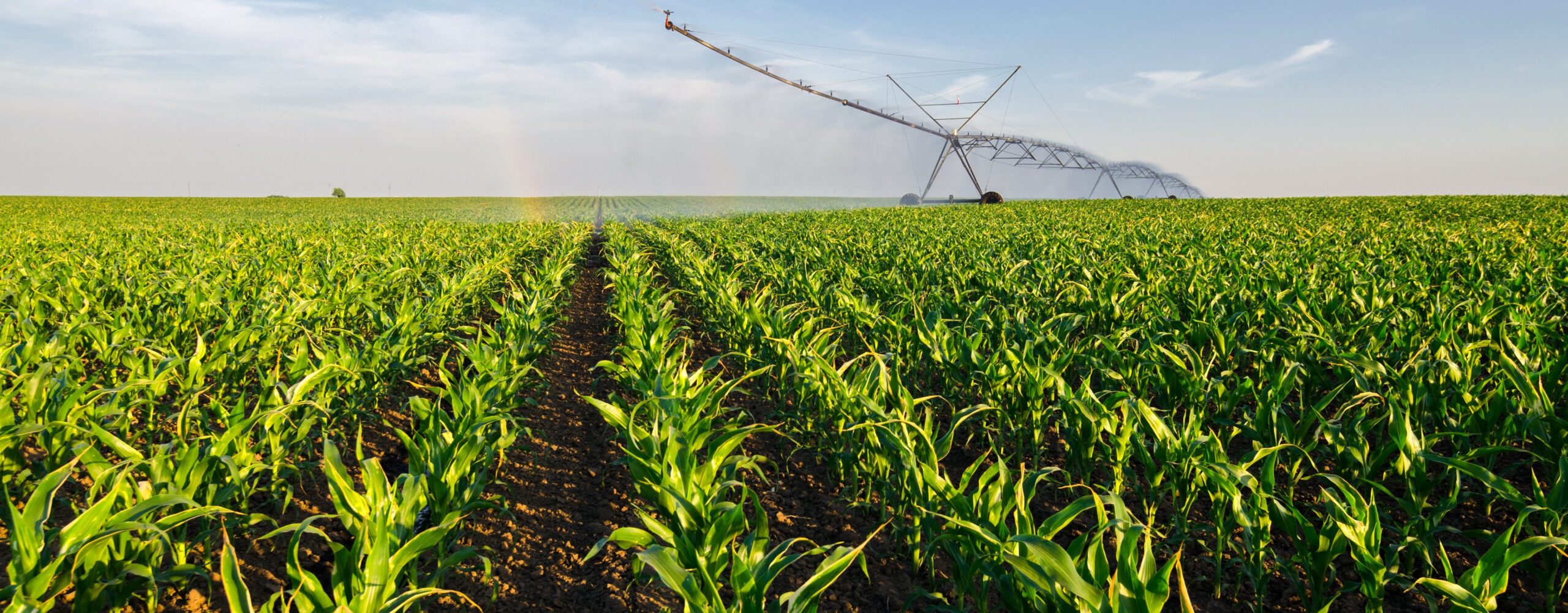 Cefic welcomes Commission’s adoption of new Bioeconomy Strategy - cefic