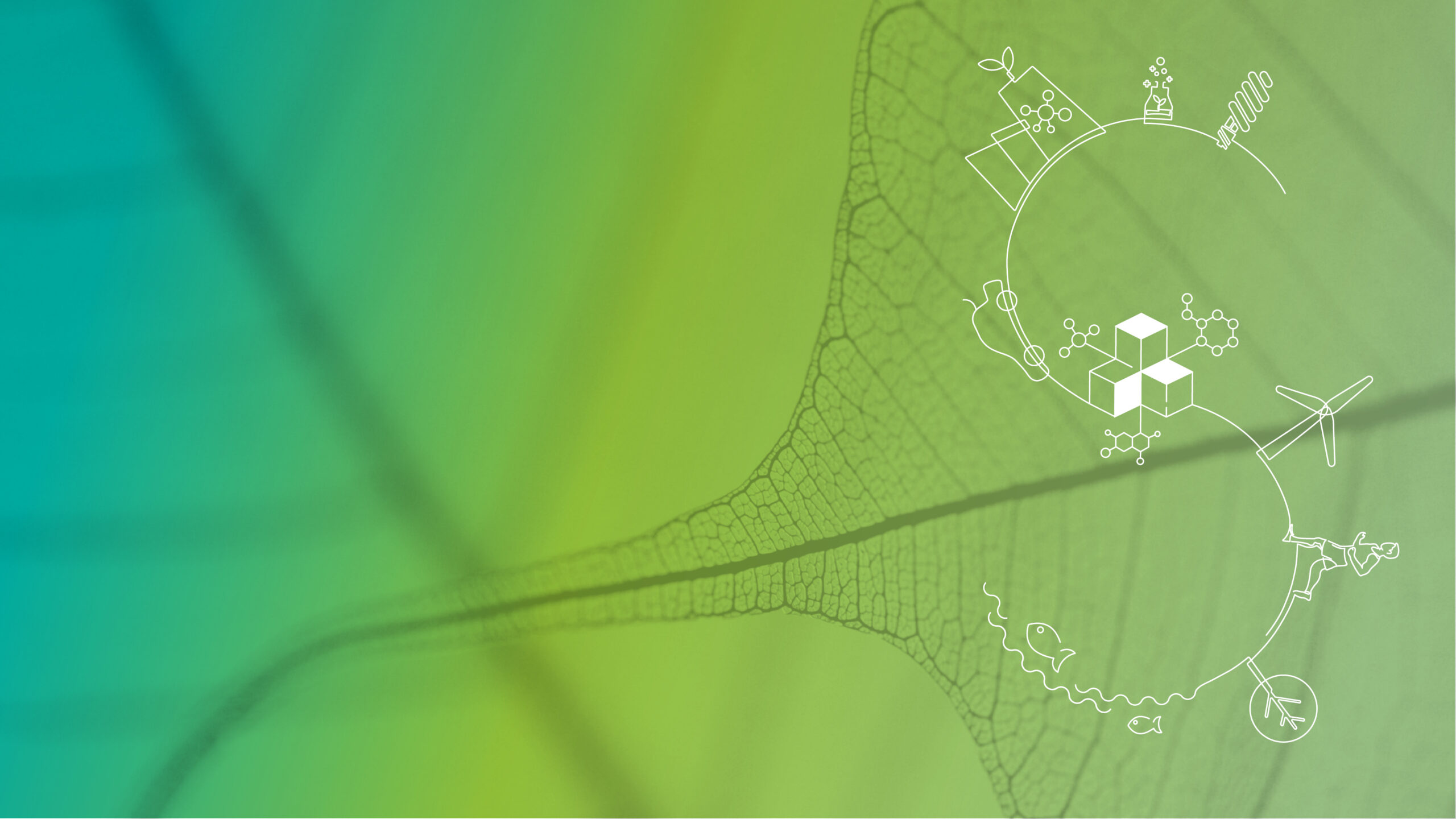 The Transformative Power of Innovation: Cefic launches new “Safe and Sustainable-by-Design ...