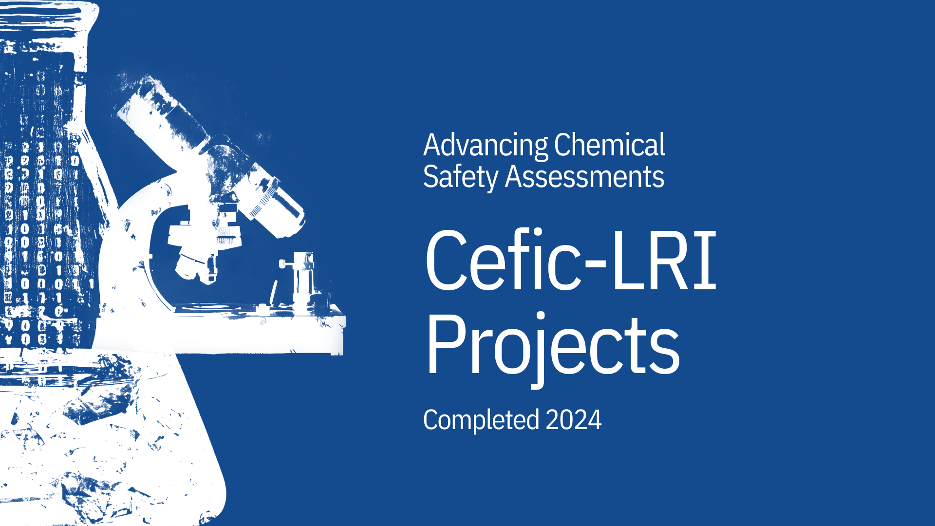 Cefic-LRI 2024 Completed Projects - cefic