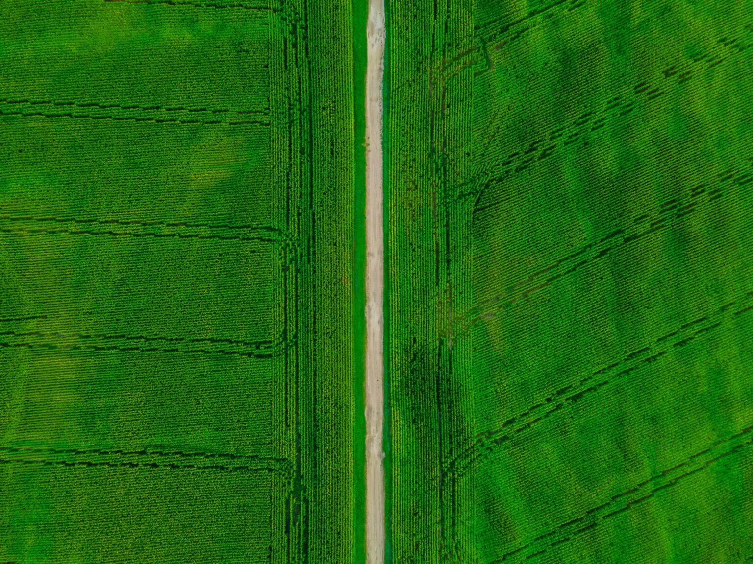 Turning bioethanol into sustainable ethyl acrylate - cefic