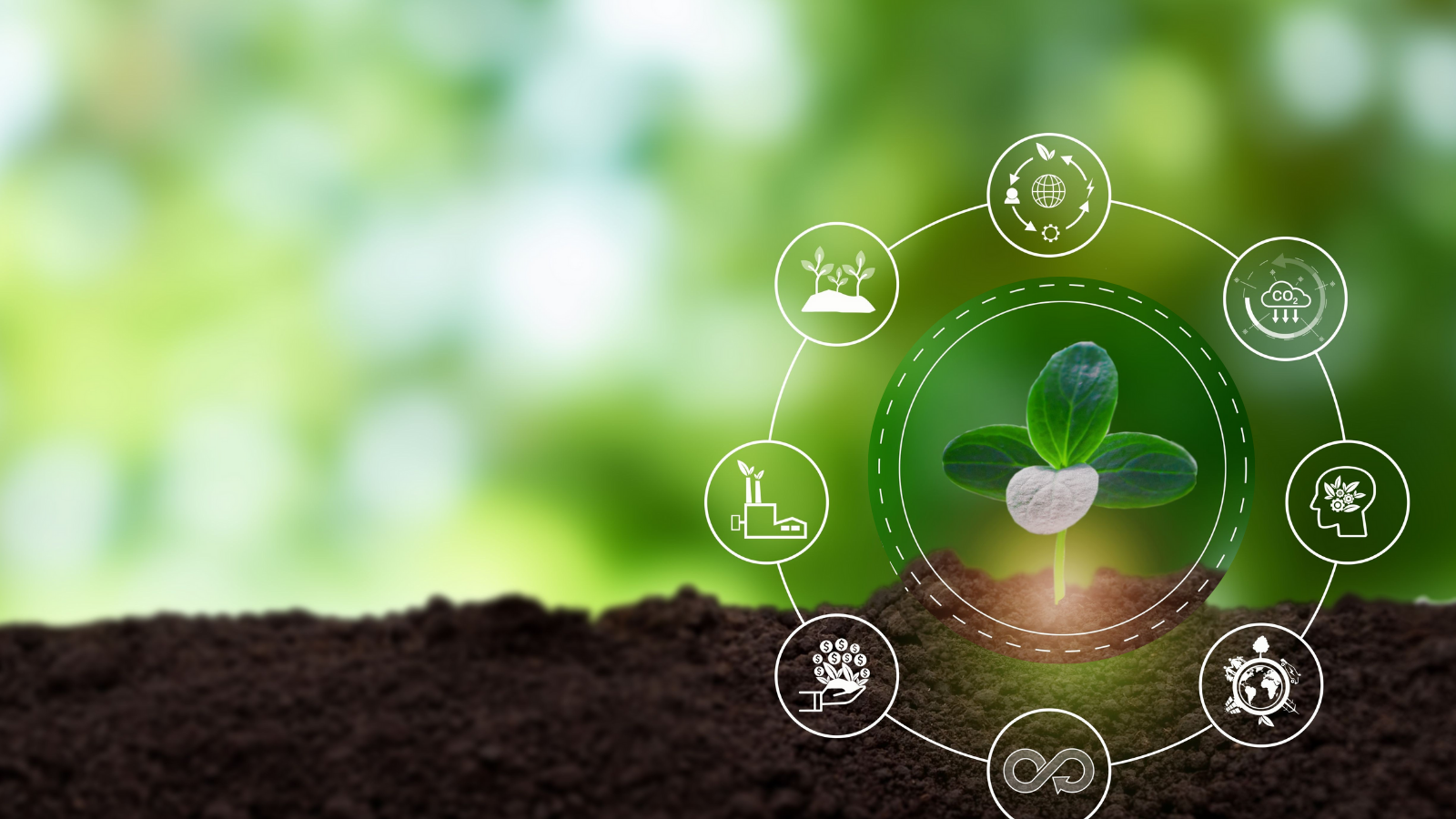 Cefic position on Bioeconomy Strategy 2025 Update - cefic